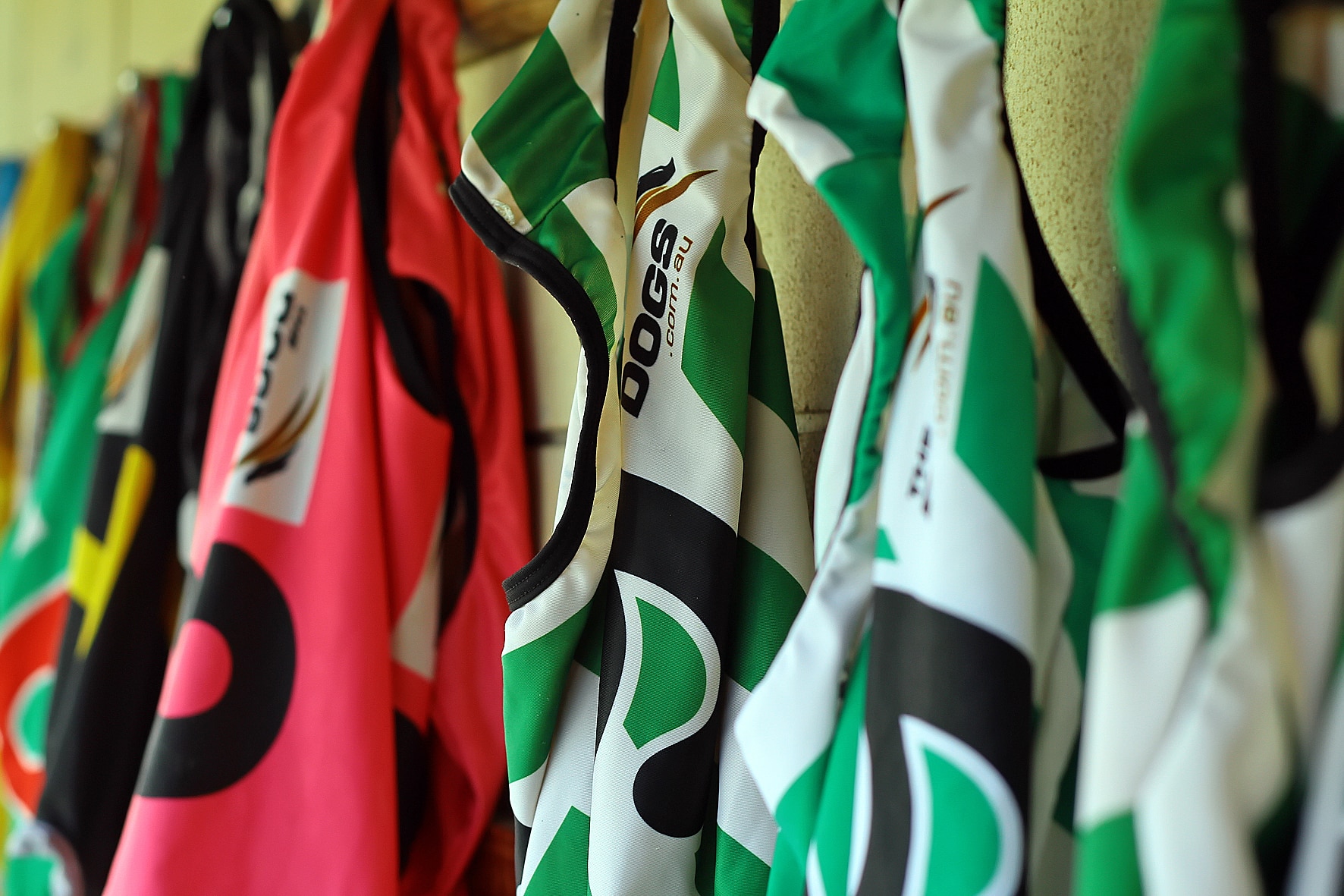 How To Sheets - NSW GBOTA - Greyhound Breeders Owners & Trainers ...